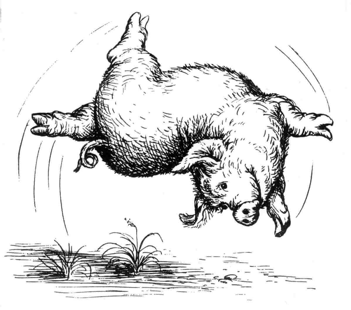 Top Ten Pigs in Fiction - Girl with her Head in a Book